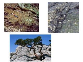 Exogenetic Process-Geomorphology Chapter | PPT