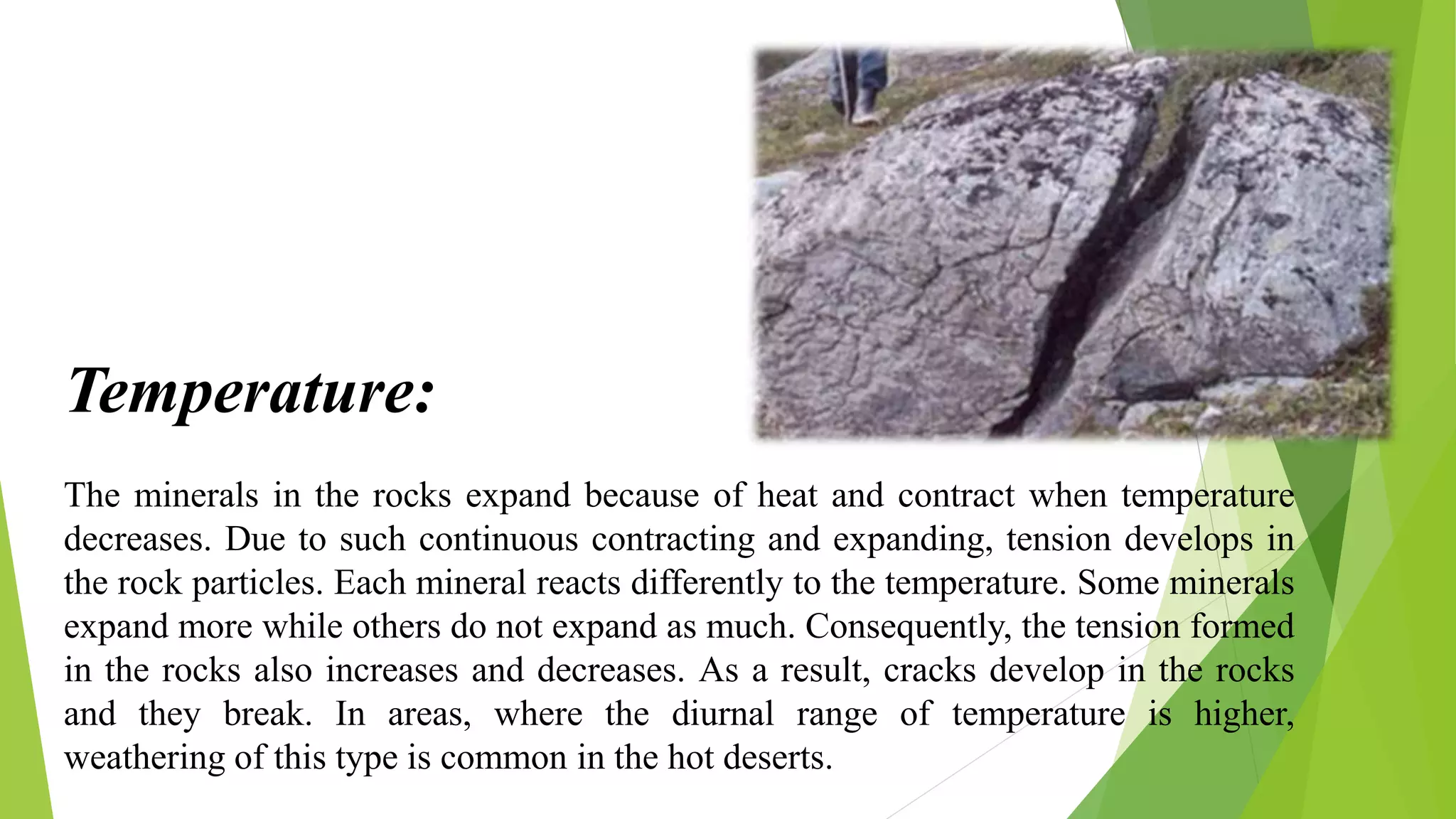 Exogenetic processes | PPTX