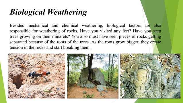 Exogenetic processes | PPTX | Geology | Science