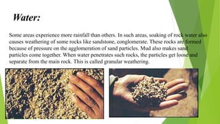 Exogenetic processes | PPTX