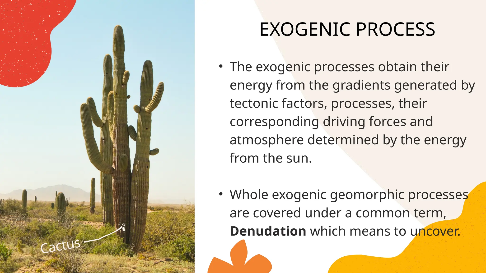 Grade 11, Quarter 2 - Exogenic Process and Weathering | PPTX