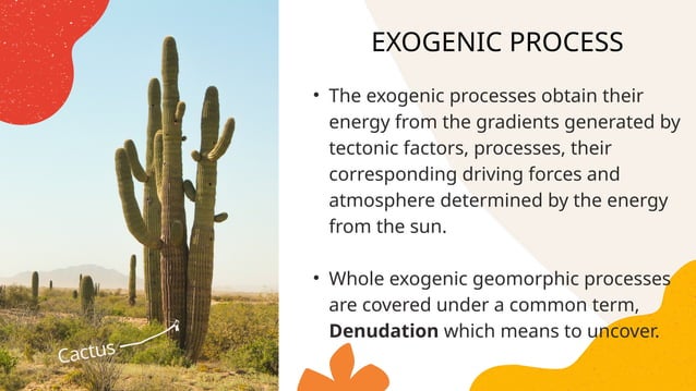 Grade 11, Quarter 2 - Exogenic Process and Weathering | PPTX | Geology ...