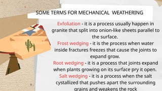 Grade 11, Quarter 2 - Exogenic Process and Weathering | PPTX
