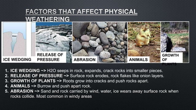 Exogenic processes | PPTX | Geology | Science