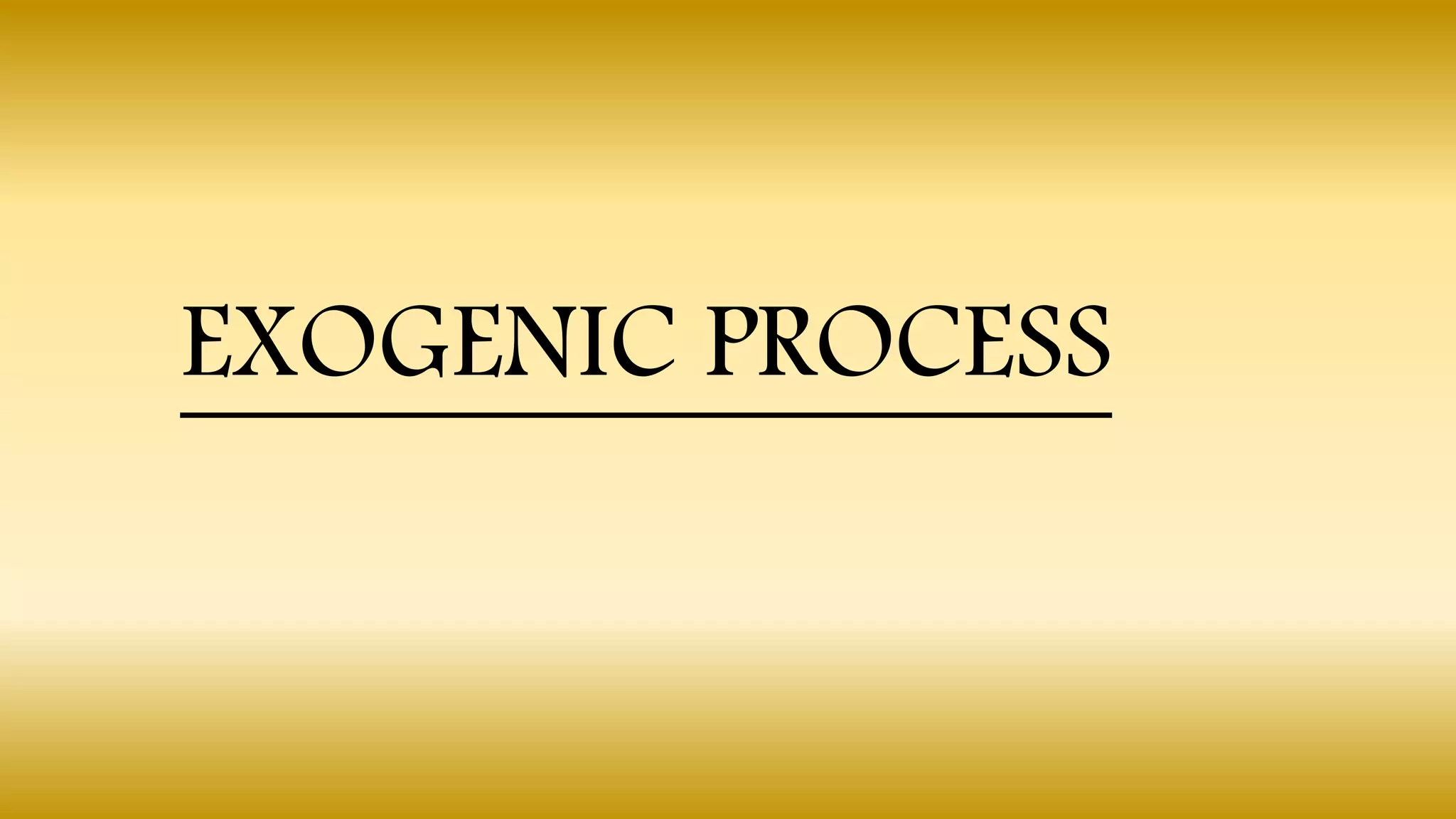 EXOGENIC PROCESS PPT | PPTX