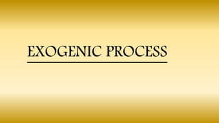 EXOGENIC PROCESS PPT | PPTX