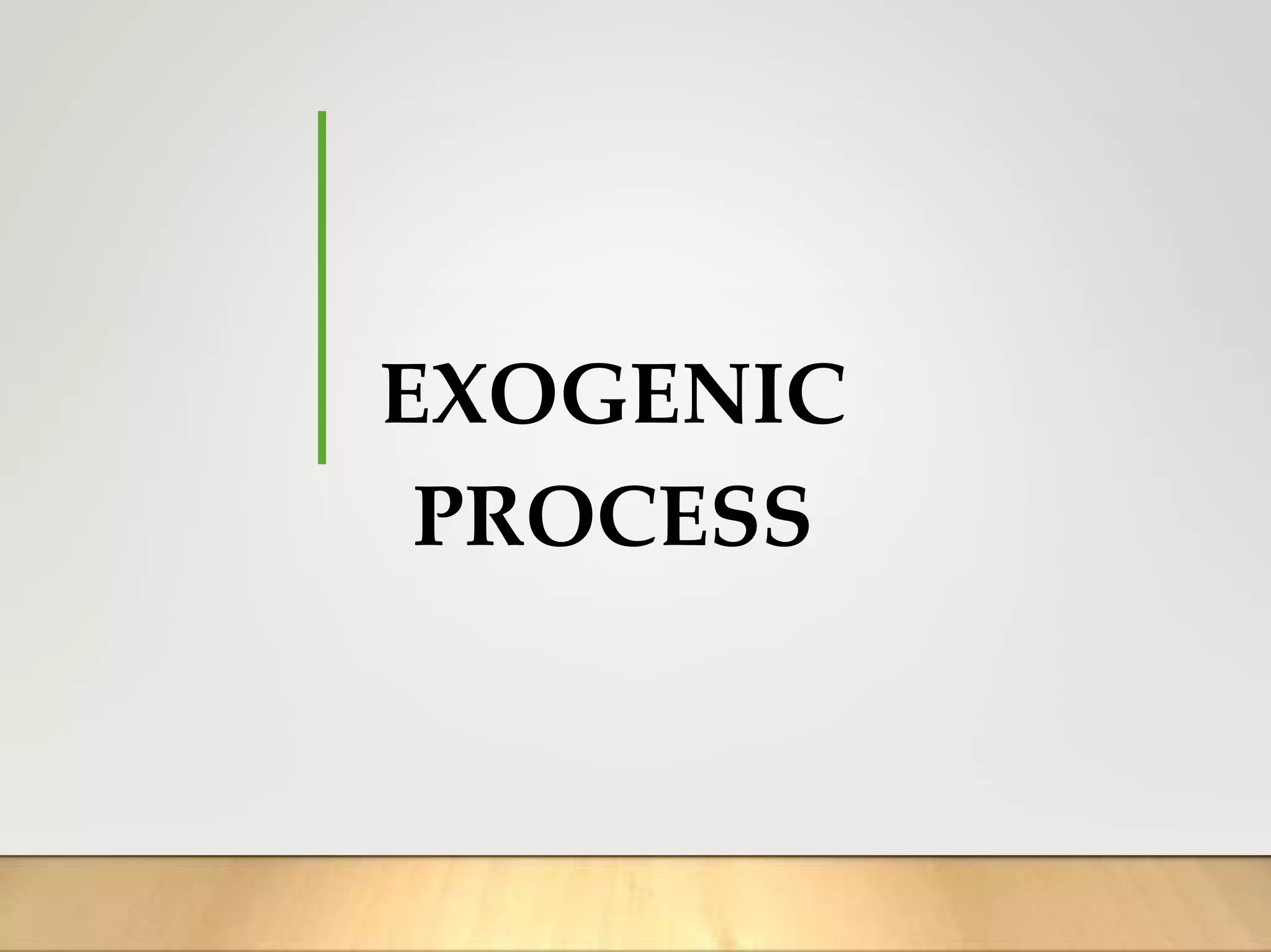Exogenic_Process.pptx