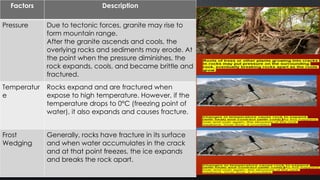 Exogenic Process composed of three types, weathering, erosion and ...