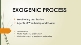 Exogenic Process....................pptx