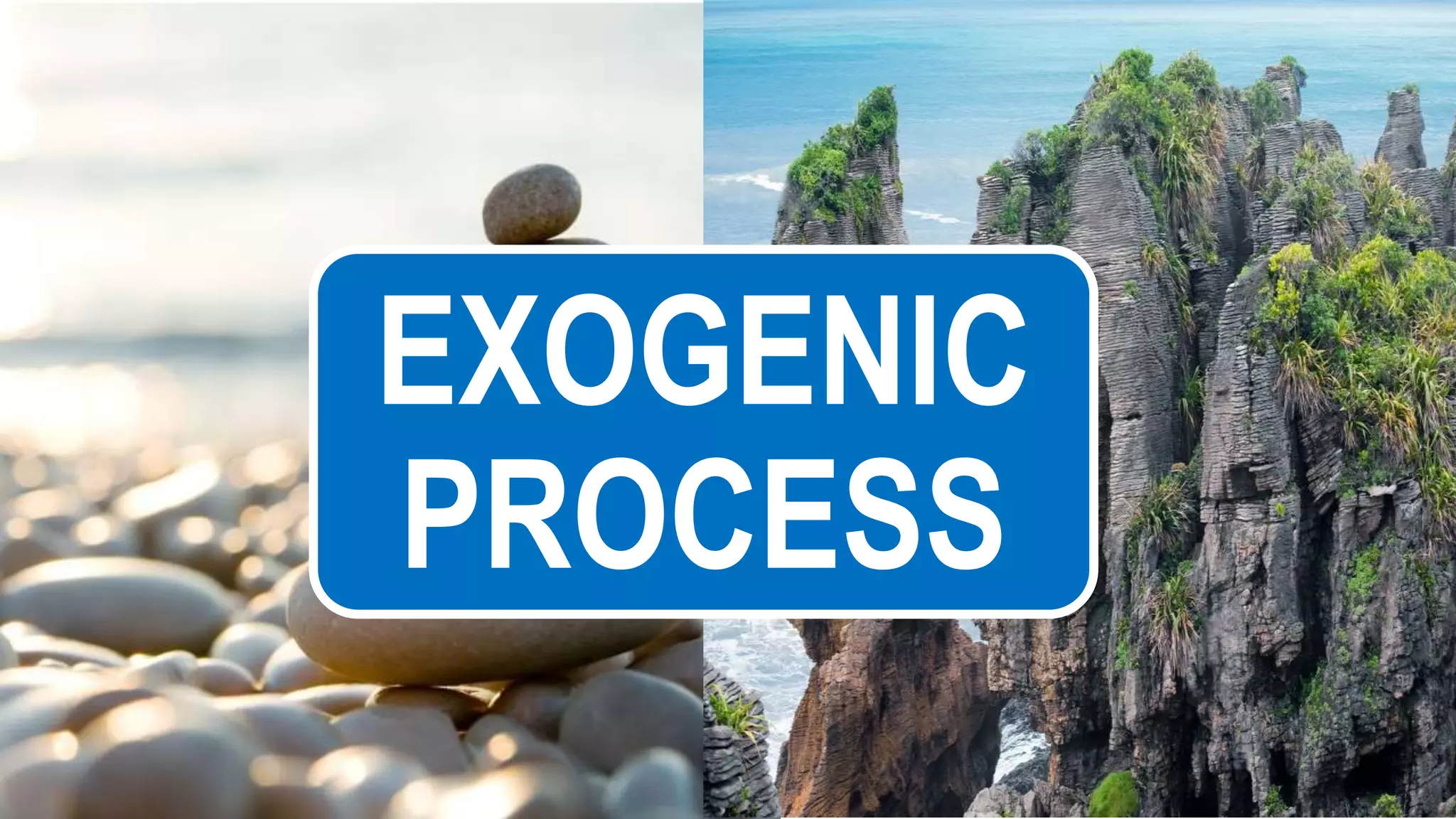 EXOGENIC PROCESSES.pptx