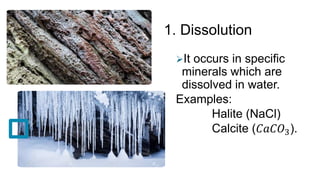 EXOGENIC PROCESSES.pptx