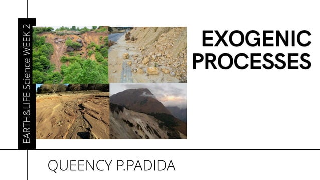 exogenic processes.pptx