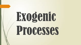 EARTH AND LIFE SCIENCES - EXOGENIC PROCESSES.pptx