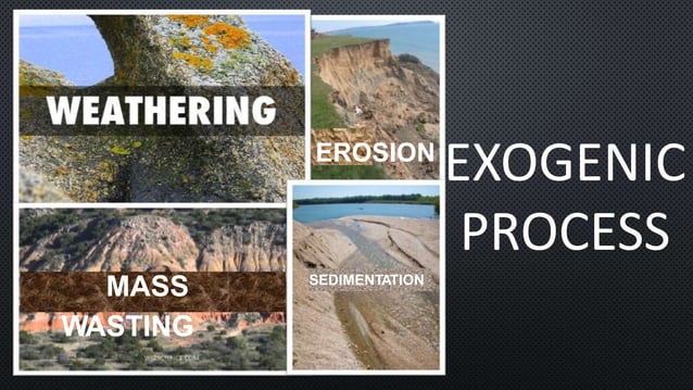 EXOGENIC PROCESSES-ELS.pptx