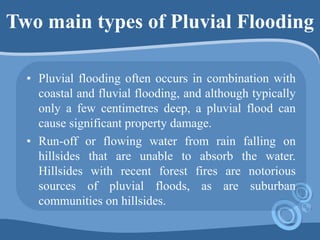Exogenous disasters floods | PPTX