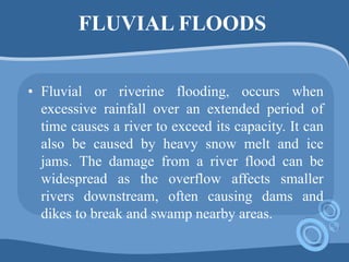 Exogenous disasters floods | PPTX