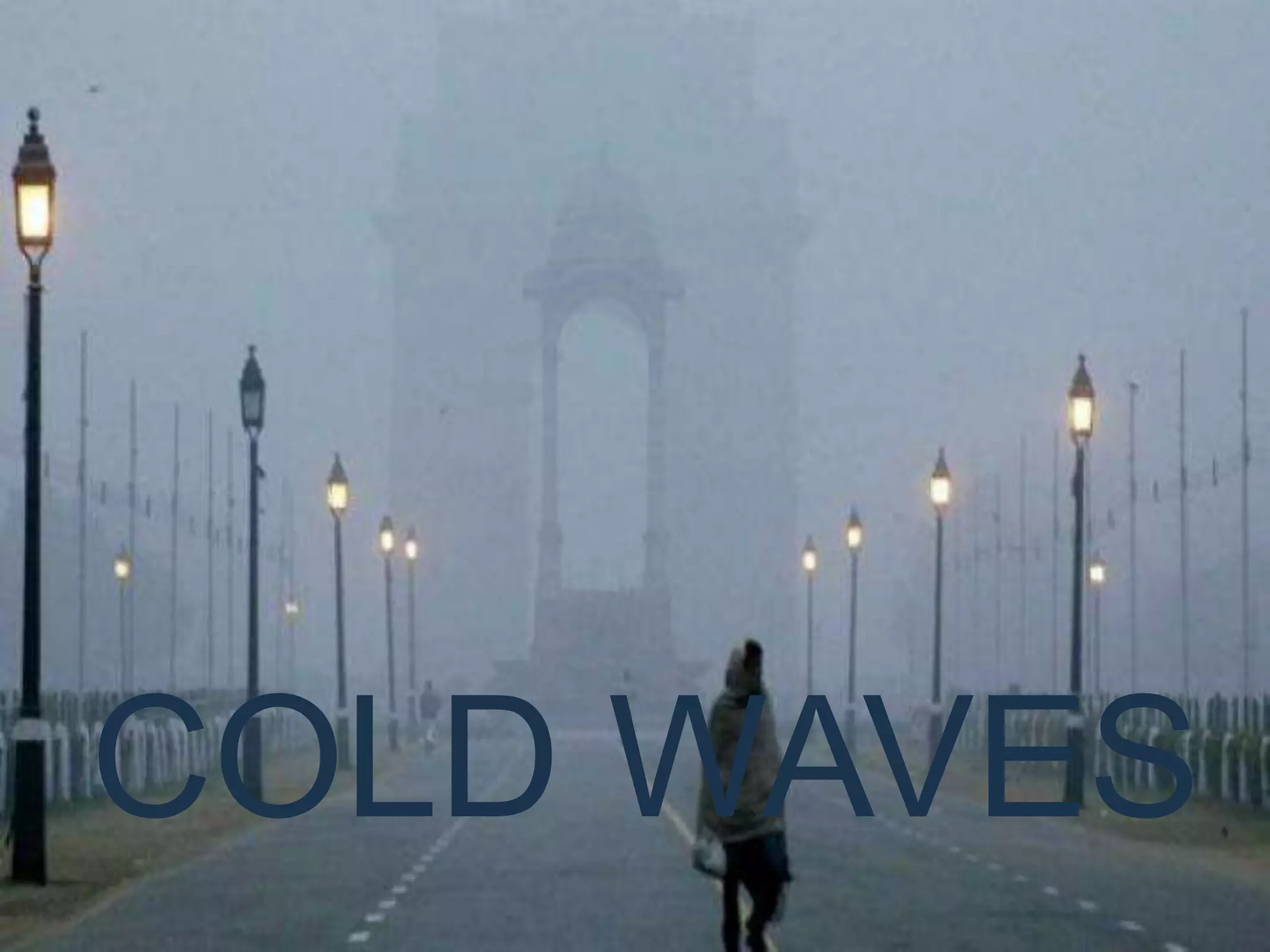 Exogenous disasters heat waves & cold waves | PPTX