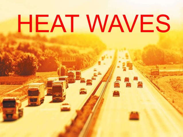 Exogenous disasters heat waves & cold waves | PPTX
