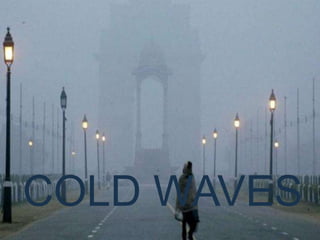 Exogenous disasters heat waves & cold waves | PPTX