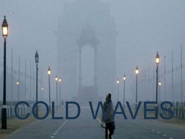 Exogenous disasters heat waves & cold waves | PPTX