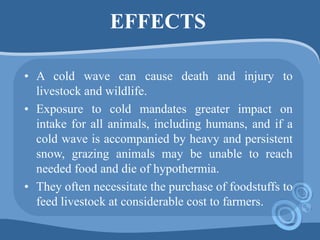 Exogenous disasters heat waves & cold waves | PPTX