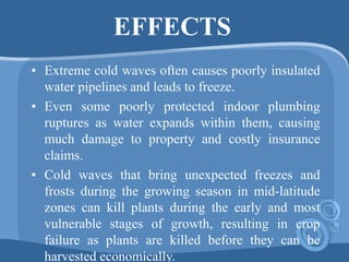 Exogenous disasters heat waves & cold waves | PPTX