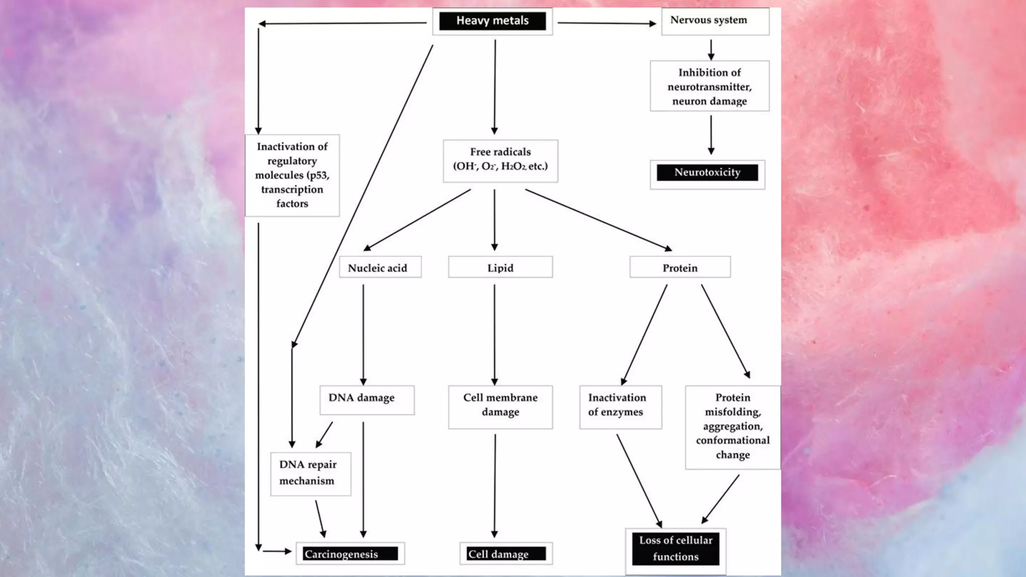 Exogenous Pigmentation of Oral Mucosa | PDF