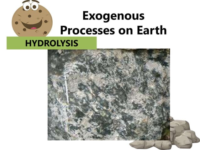 Exogenous processes on earth | PPTX