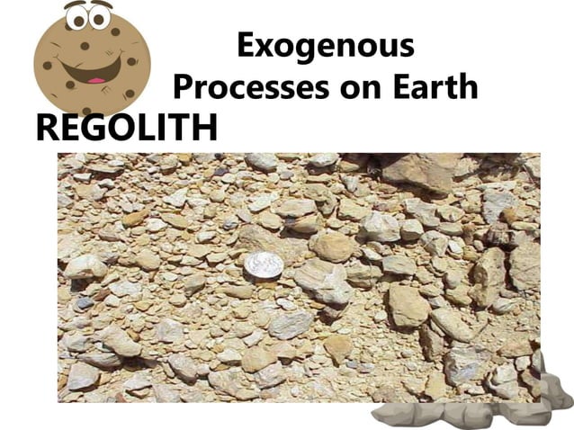 Exogenous processes on earth | PPTX
