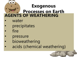 Exogenous processes on earth | PPTX