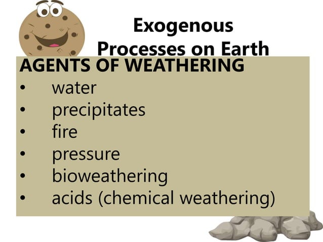 Exogenous processes on earth | PPTX