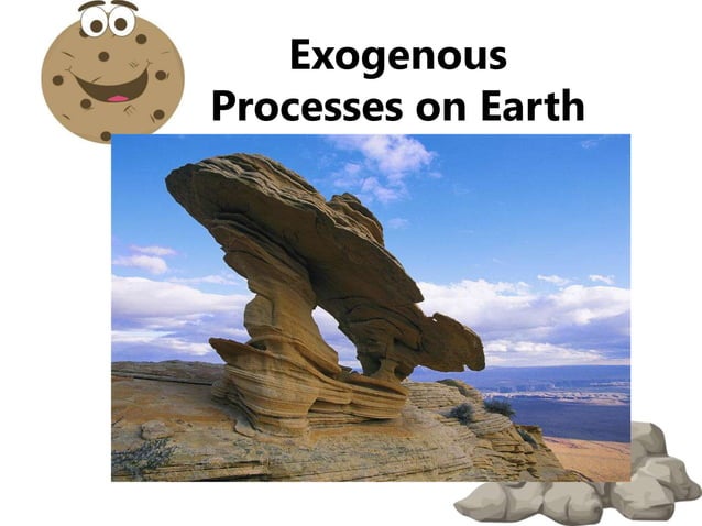 Exogenous processes on earth | PPTX