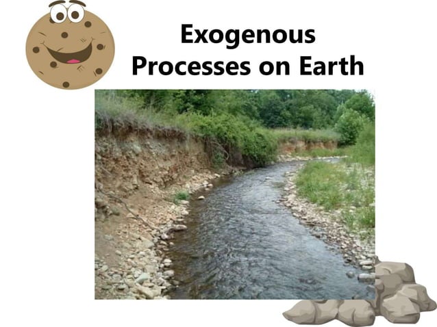 Exogenous processes on earth | PPTX
