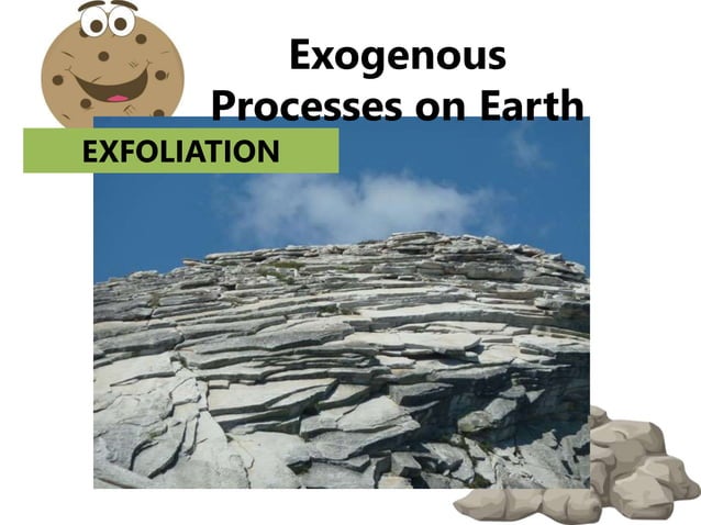 Exogenous processes on earth | PPTX