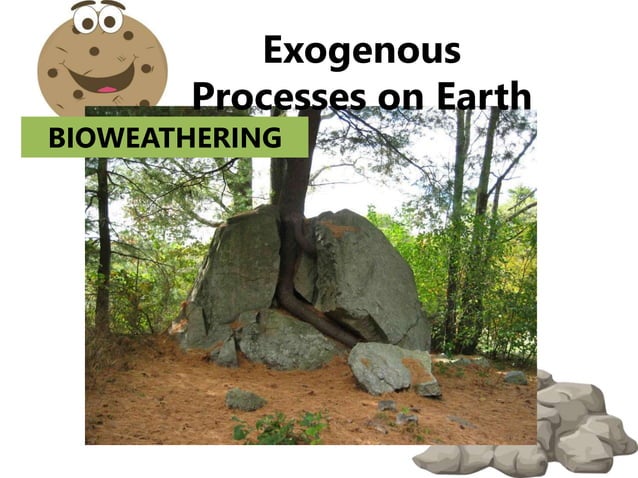 Exogenous processes on earth | PPTX