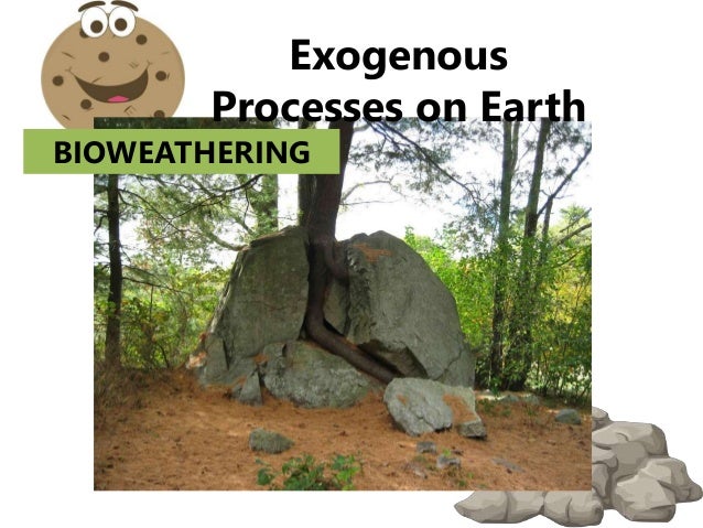 Exogenous processes on earth