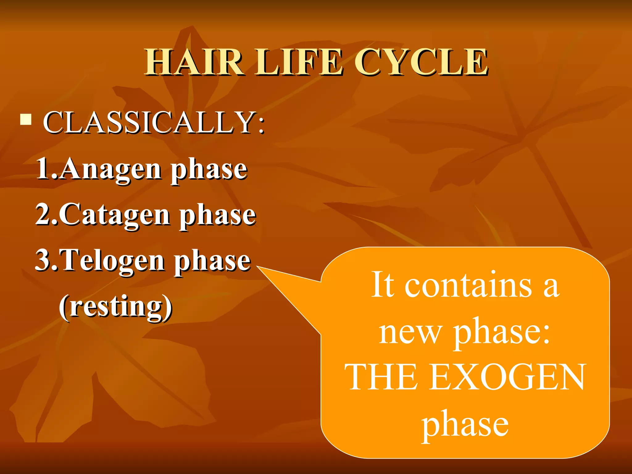 Exogen phase of hair life cycle | PPT
