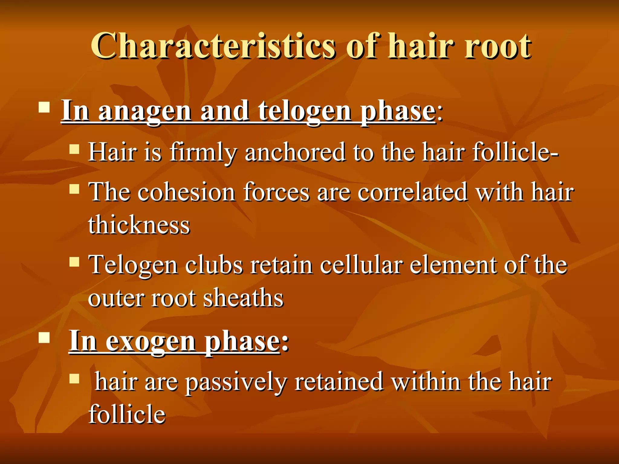 Exogen phase of hair life cycle | PPT