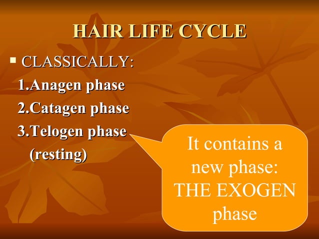 Exogen phase of hair life cycle | PPT
