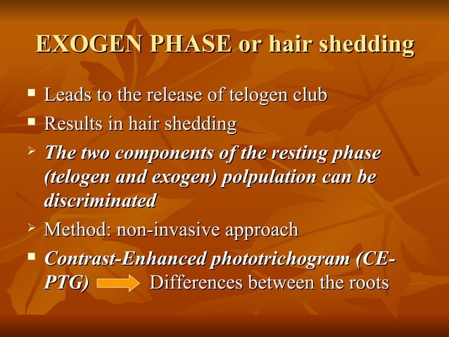 Exogen phase of hair life cycle | PPT