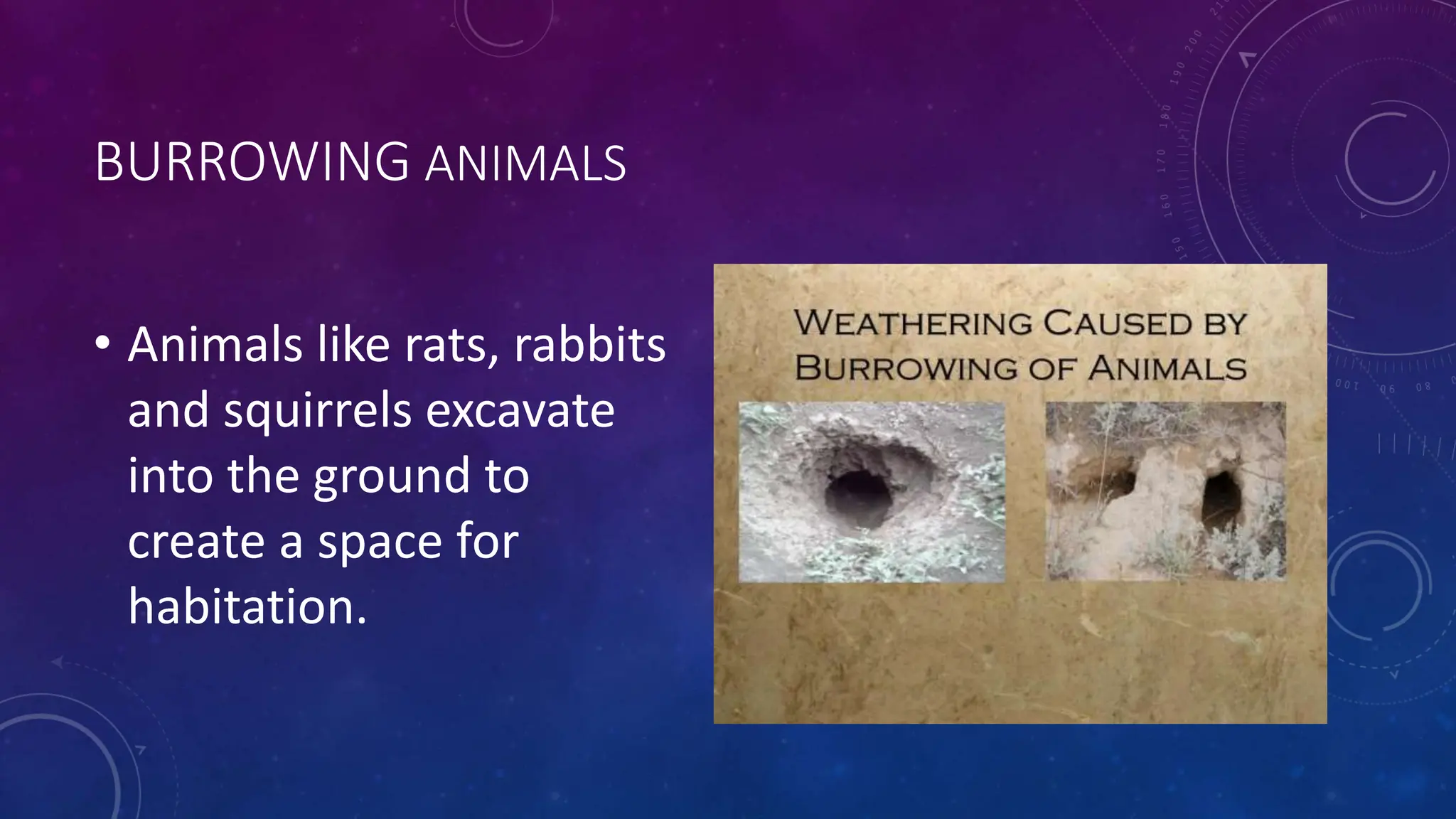 EXOGERMIC PROCESS.pptx
