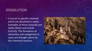 EXOGERMIC PROCESS.pptx