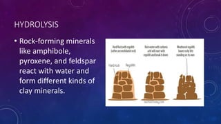 EXOGERMIC PROCESS.pptx