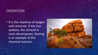 EXOGERMIC PROCESS.pptx