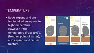EXOGERMIC PROCESS.pptx