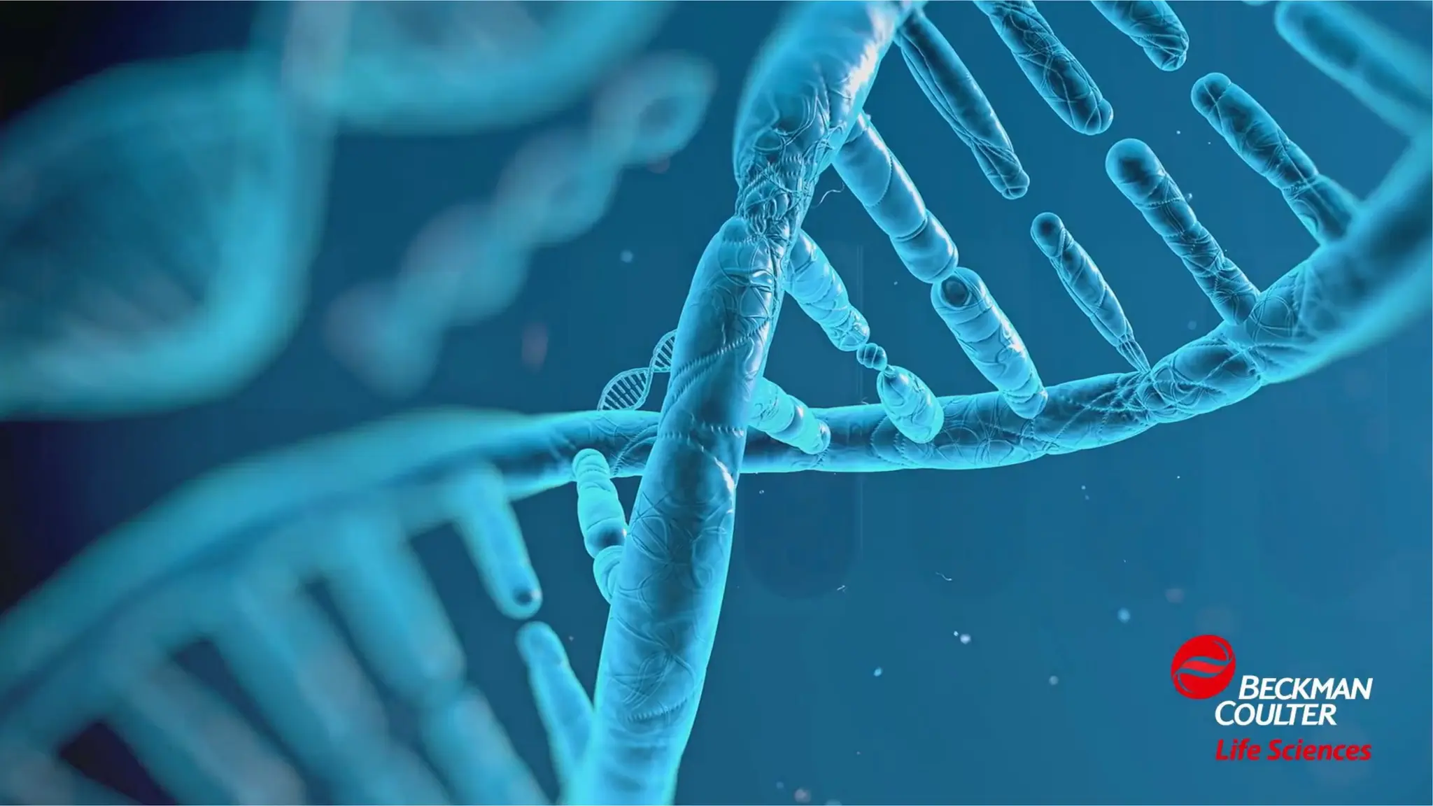 An exome library is a collection of DNA fragments that are prepared for ...