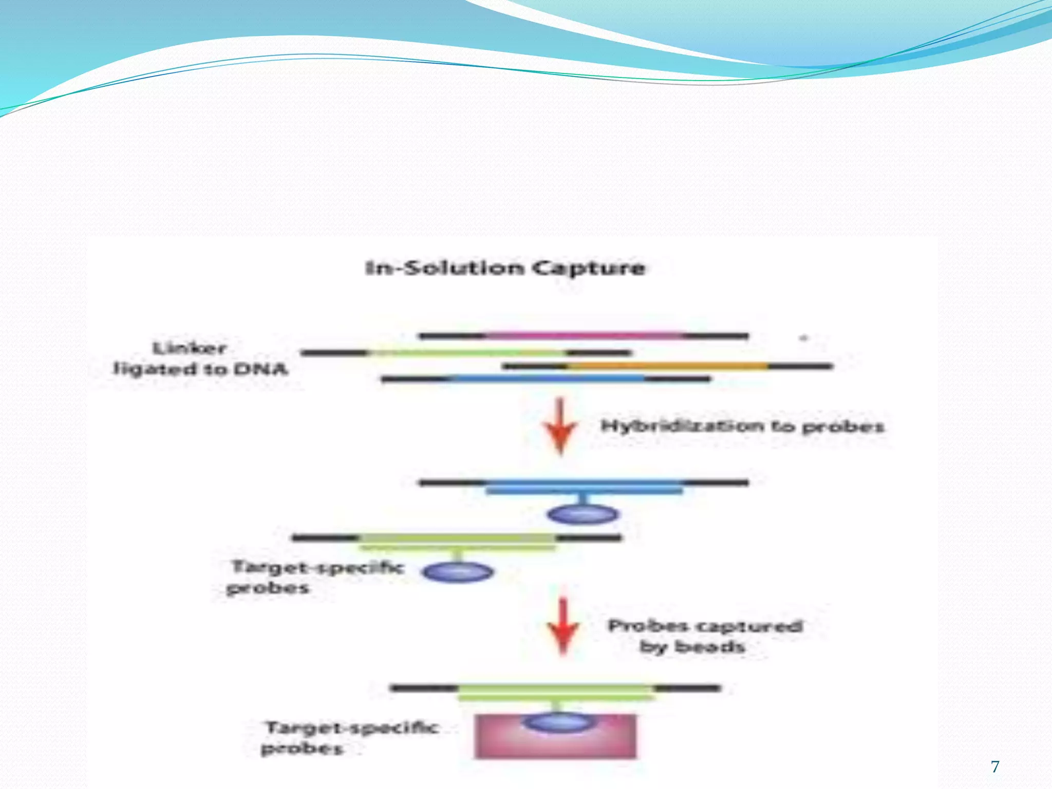 Exome seuencing (steps, method, and applications) | PPTX