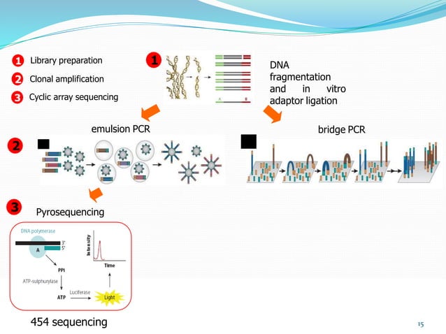 Exome seuencing (steps, method, and applications) | PPTX