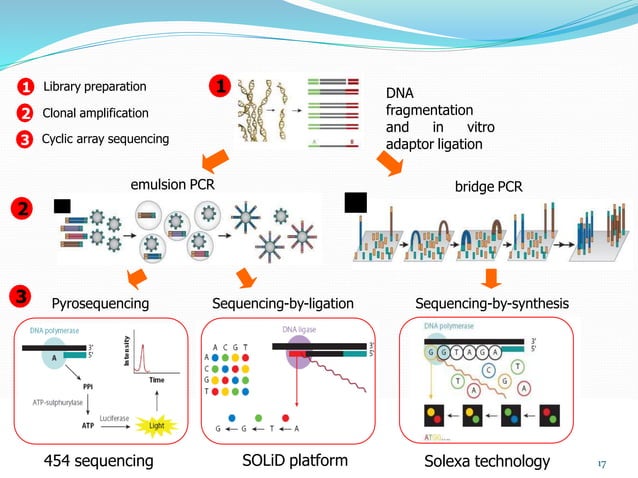 Exome seuencing (steps, method, and applications) | PPTX