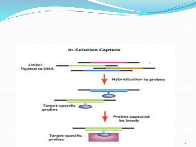 Exome seuencing (steps, method, and applications) | PPTX